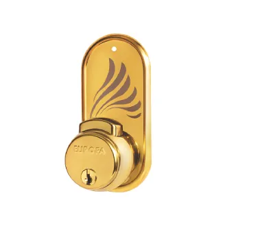 Internal Lock for Door: Europa Cylindrical, Mortise & Round Locks